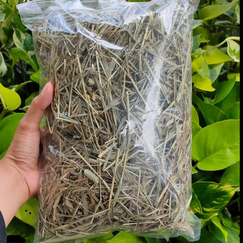 Jual Rumput Timothy Hay 1kg - Hay Kelinci - KEMASAN 1KG | Shopee Indonesia