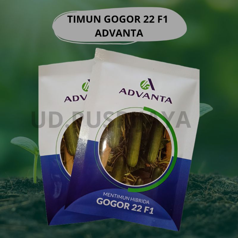 Jual BENIH TIMUN GOGOR 22 F1 ADVANTA Kemasan 20gr | Shopee Indonesia
