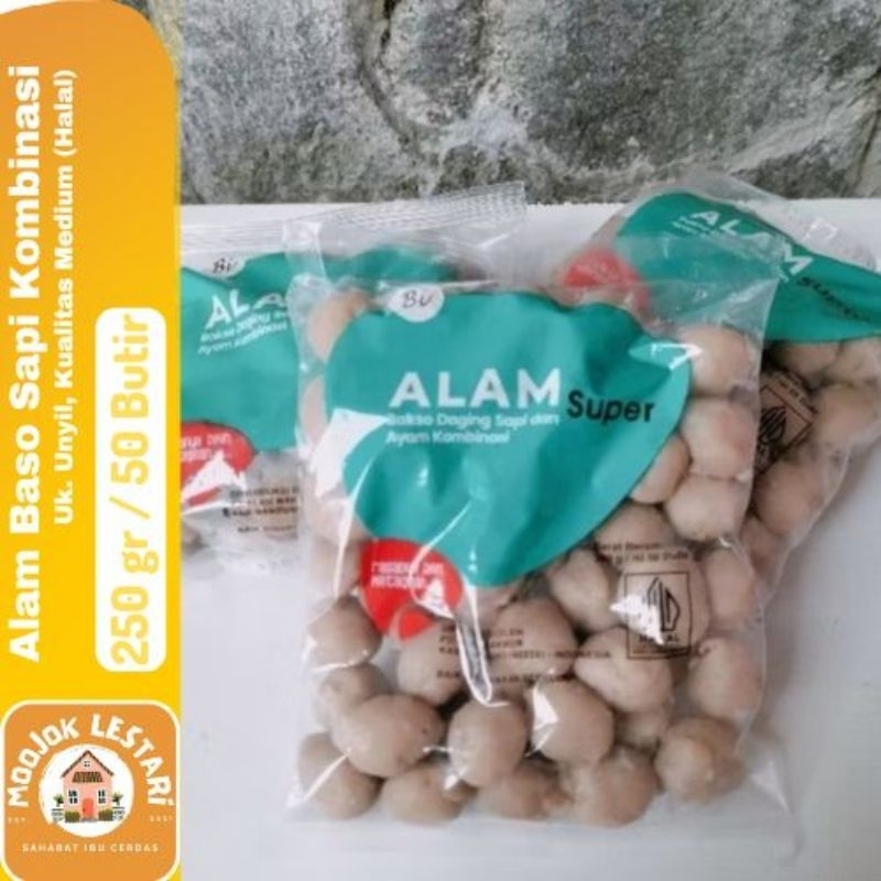 Jual Baso Alam BI isi 50 Bakso kecil (size S/Unyil) daging sapi ...