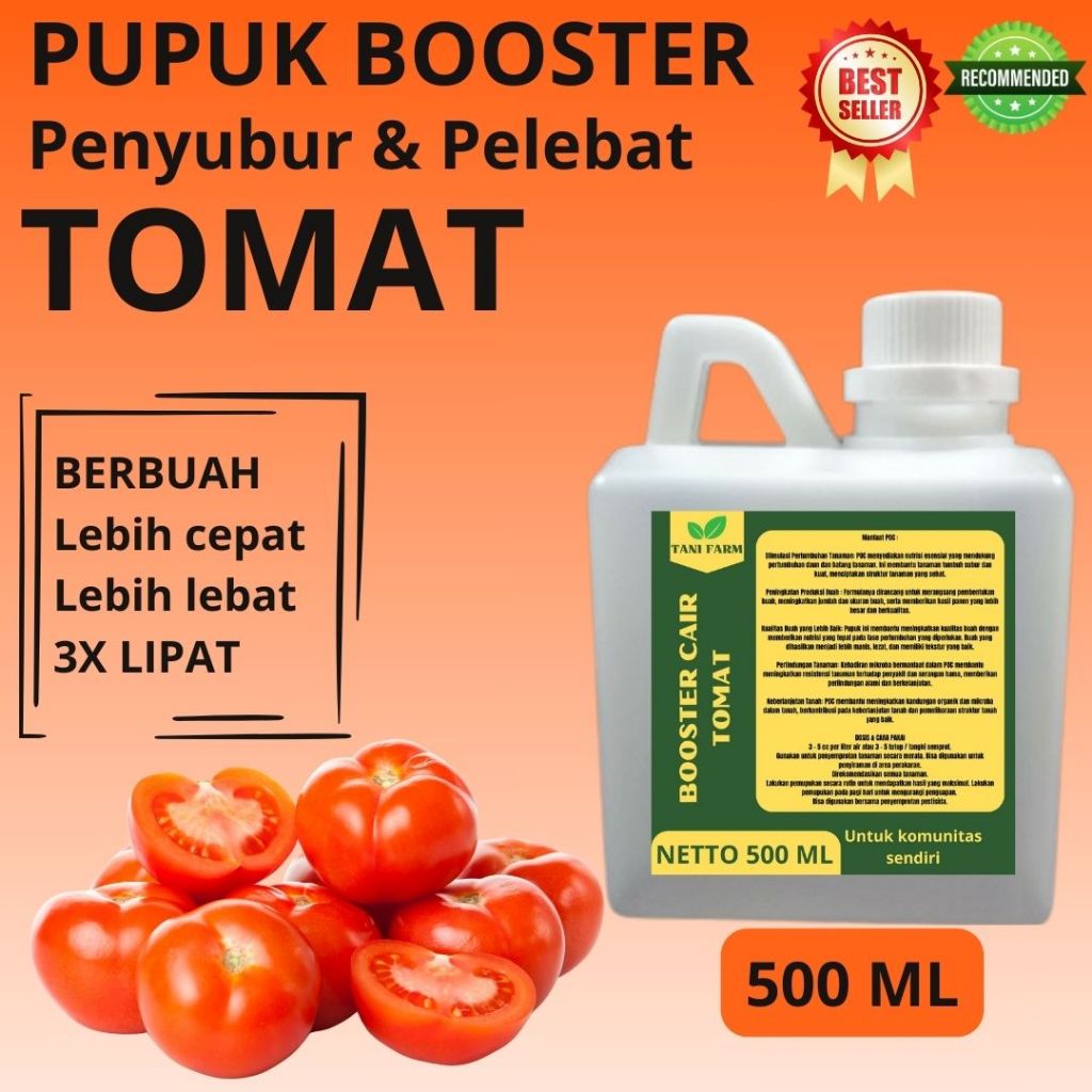 Jual Pupuk Tomat Agar Buah Lebat dan Berat / Pupuk Tomat / Pupuk Tomat Baru Tanam / Pupuk Tomat ...