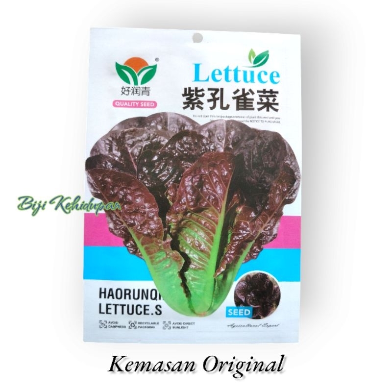 Jual BENIH SELADA RED ROMAINE (KEMASAN ORIGINAL) | Shopee Indonesia