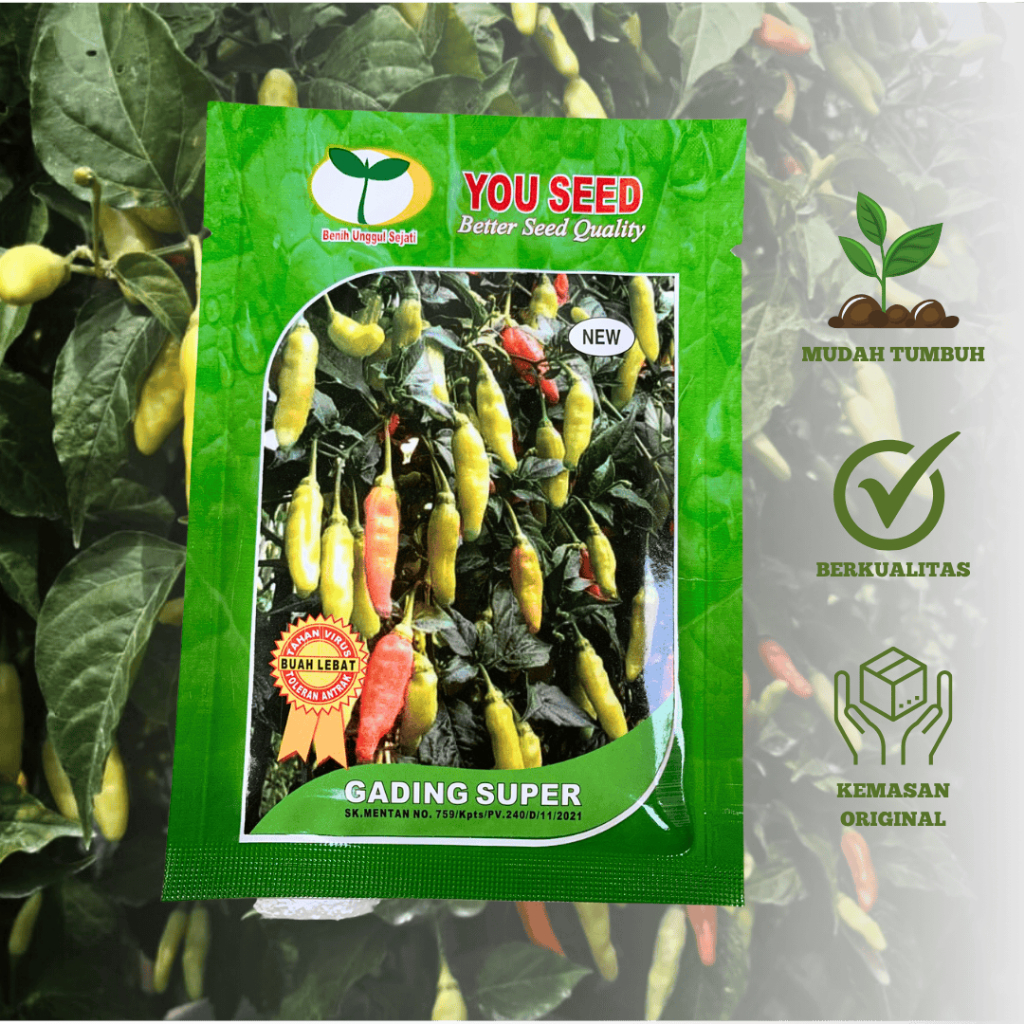 Jual Benih Cabe Rawit GADING SUPER 10 gram Cap YOU SEED Type Kaliber ...