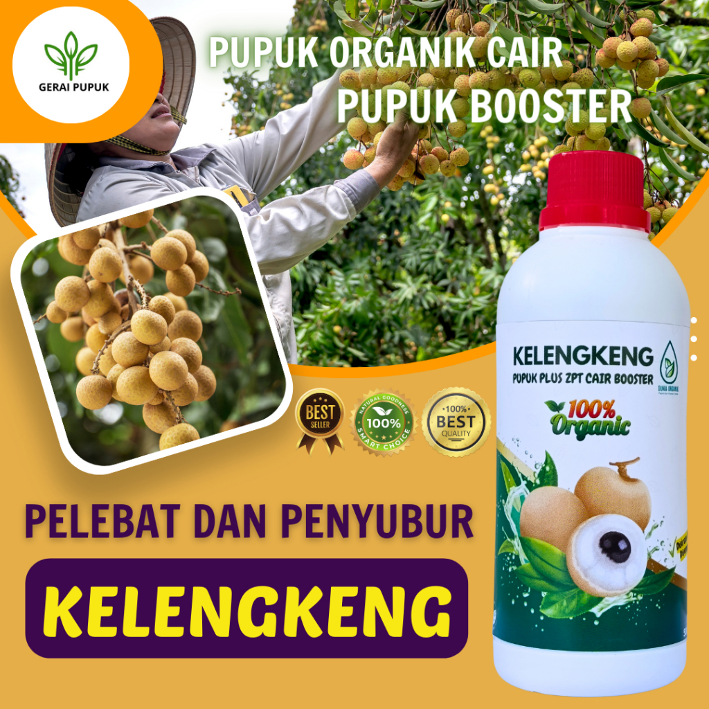 Jual Pupuk buah kelengkeng agar cepat berbuah | pupuk organik cair pelebat buah dan anti rontok ...