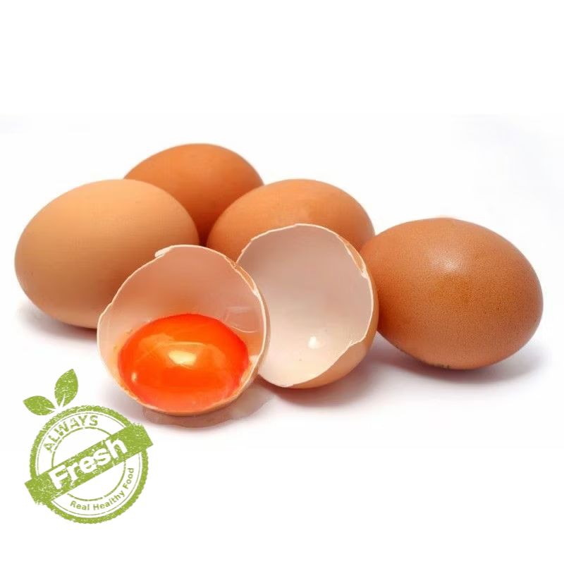 Jual Telur Omega 3 | Telor Omega | Shopee Indonesia