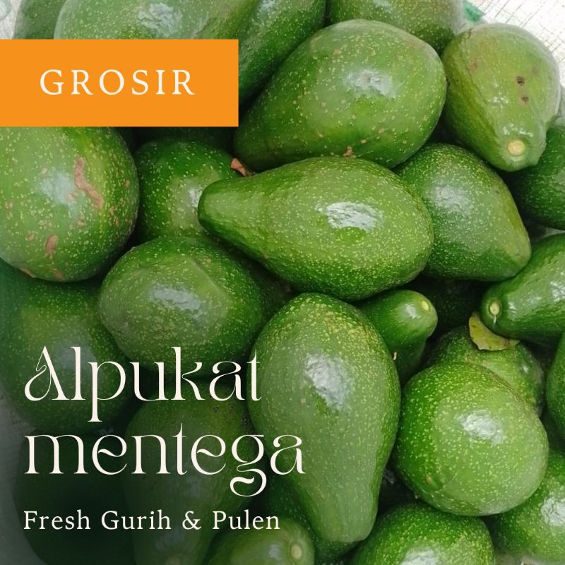 Jual Alpukat Mentega Super 1 kg | Shopee Indonesia