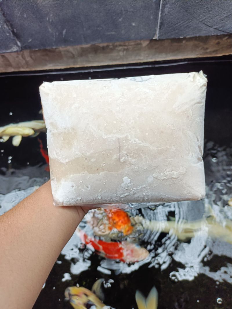 Jual Ikan Tenggiri Papan Kemasan 1Kg | Shopee Indonesia