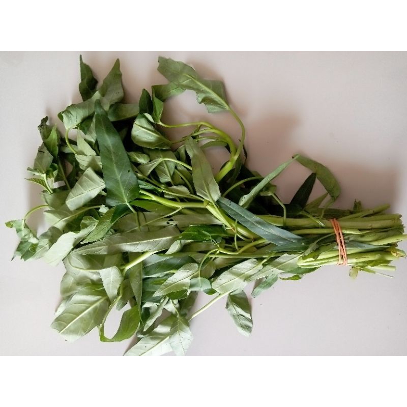 Jual Sayur Kangkung segar 1 ikat | Shopee Indonesia
