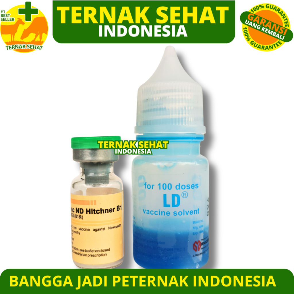 Jual VAKSIN ND HITCHNER B1 DOSIS 100 EKOR + PELARUT MEDIVAC MEDION ...