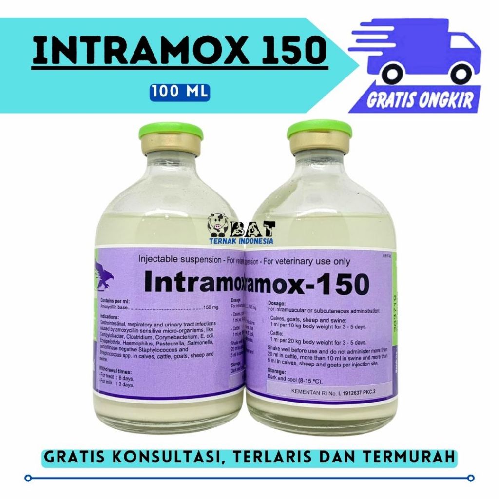 Jual INTRAMOX 150 100 ml UNGU - Antibiotik Hewan Amoxycillin Spektrum ...