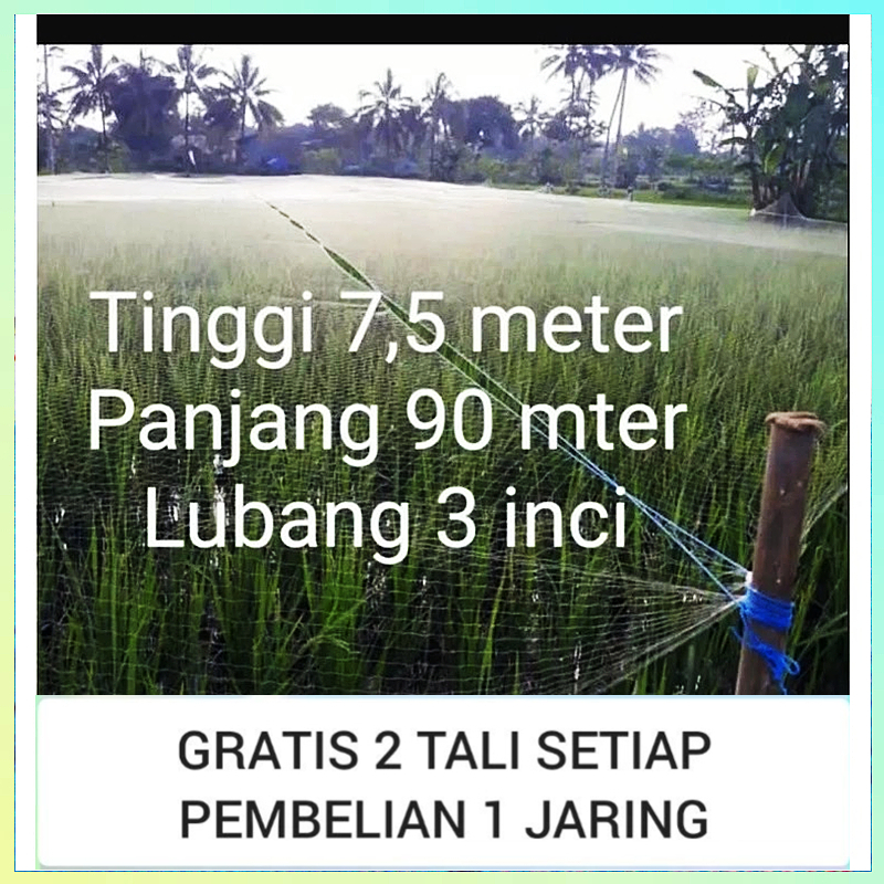 Jual Jaring burung, jaring padi, jaring sawah lubang 3 inci bonus tali untuk burung tekukur ...