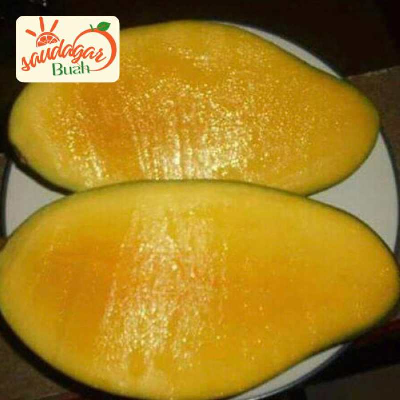 Jual BUAH MANGGA KIOJAY MANGGA THAILAND MATANG MANIS GROSIR 2KG ...
