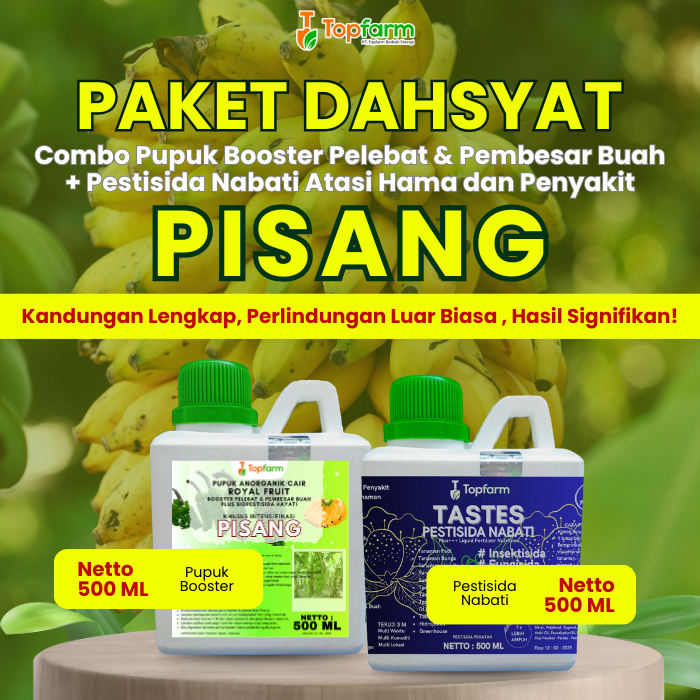 Jual Pupuk Pestisida Topfarm / Pupuk Khusus Pohon Pisang / Pupuk Pisang Cepat Berubah / Obat ...