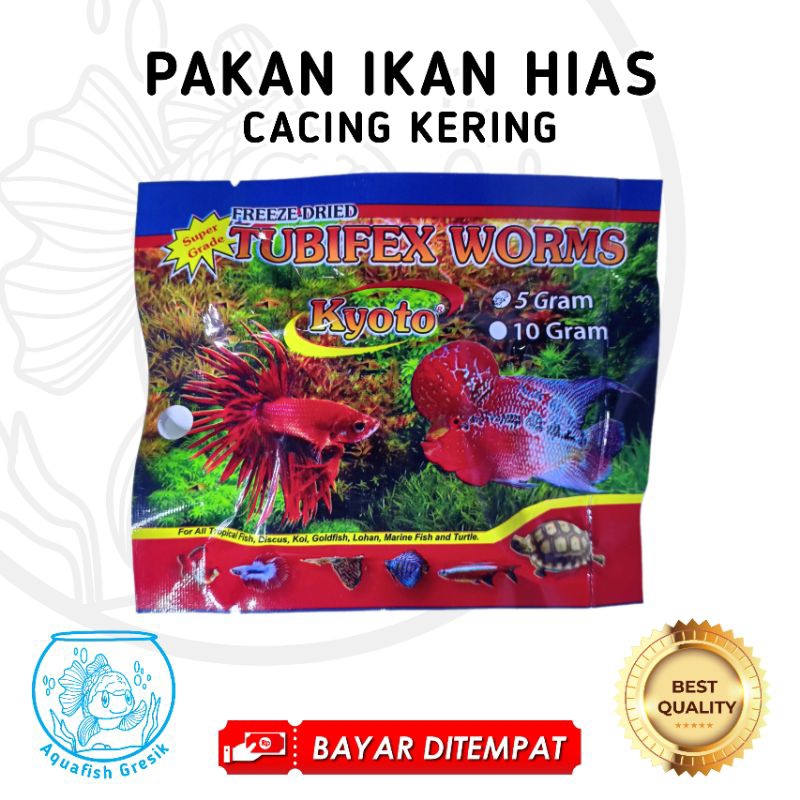 Jual pakan cacing kering TUBIFEX WORM 5gr, pakan ikan hias cupang, neon ...