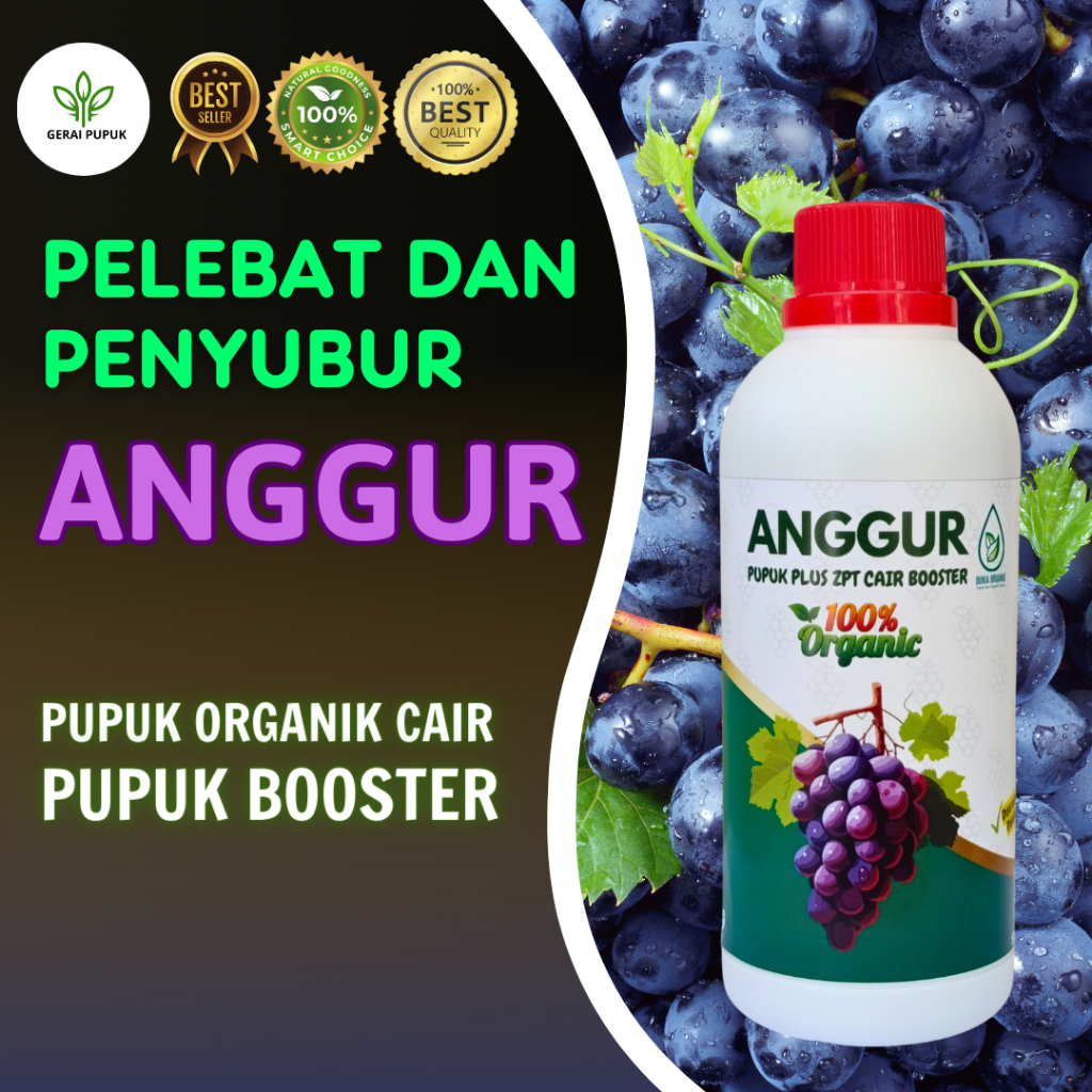 Jual Pupuk Anggur Masa Pertumbuhan Pupuk Anggur Cepat Berbuah Pupuk ...