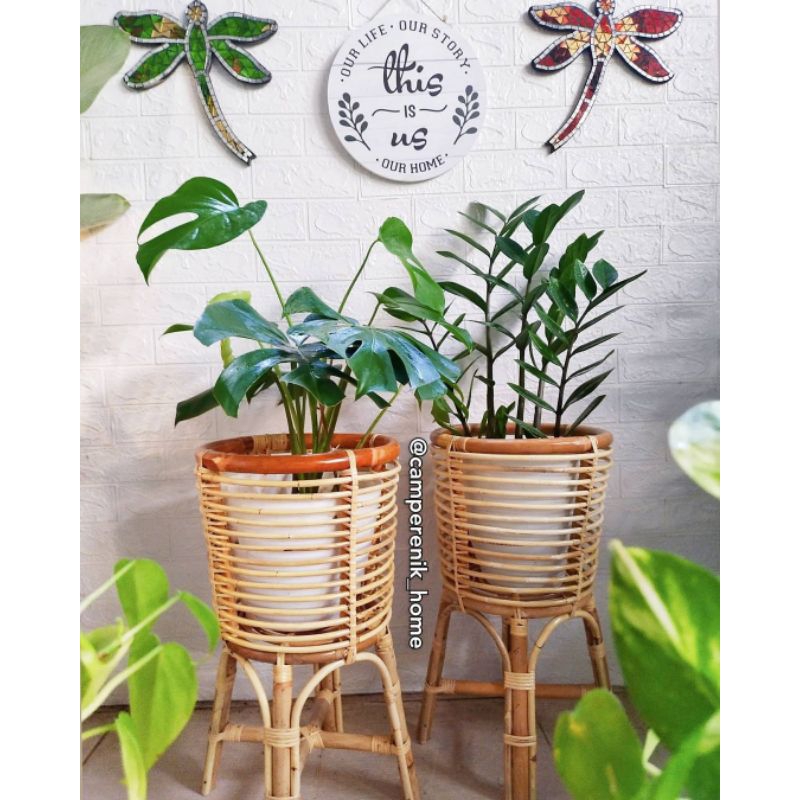 Jual Standing Pot Rotan Natural Finishing Mengkilap / Tempat Dudukan ...