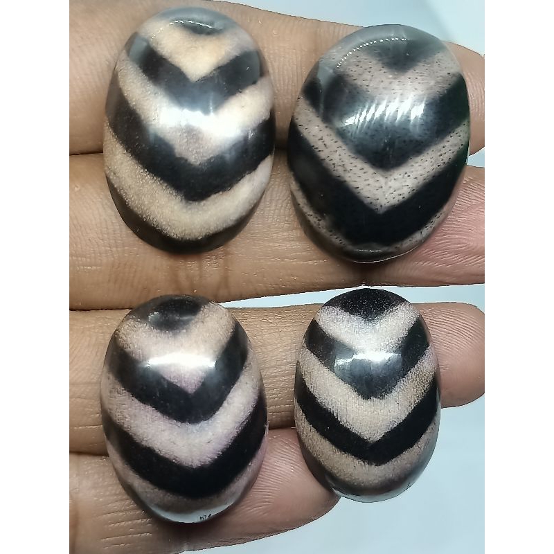 Jual Batu Posil Galih Kelor Junjung Derajat | Shopee Indonesia