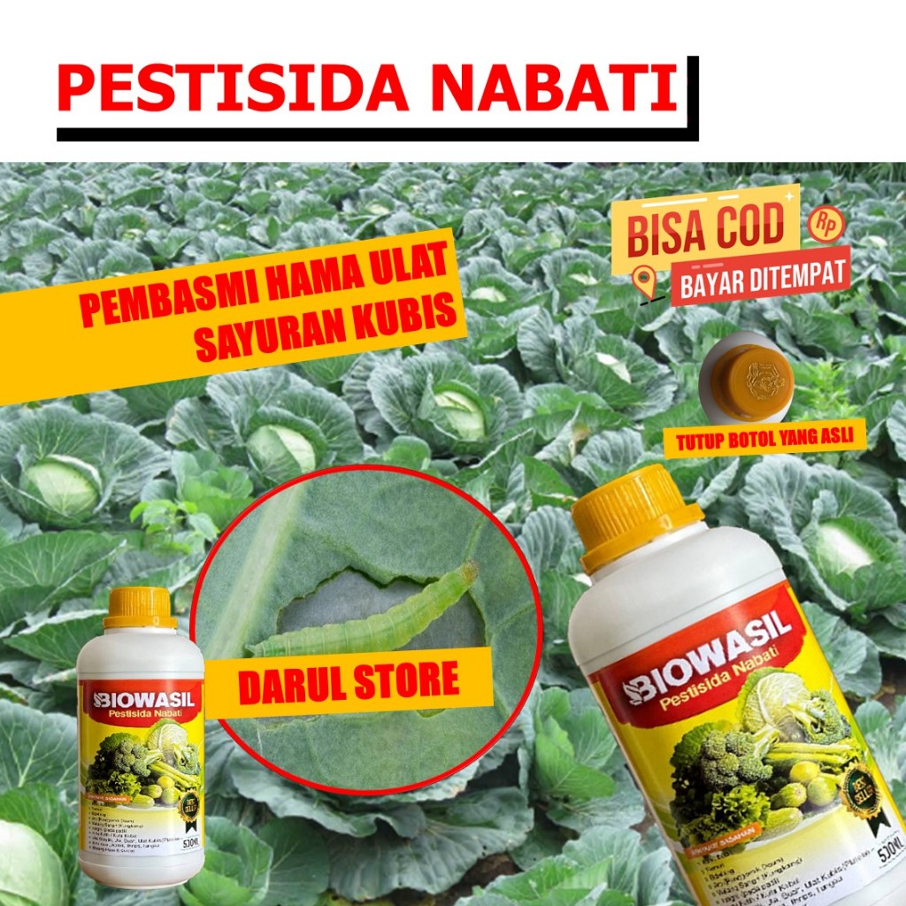 Jual BAYAR DI RUMAH PESTISIDA BIOWASIL untuk Hama Tanaman Kubis Paling ...