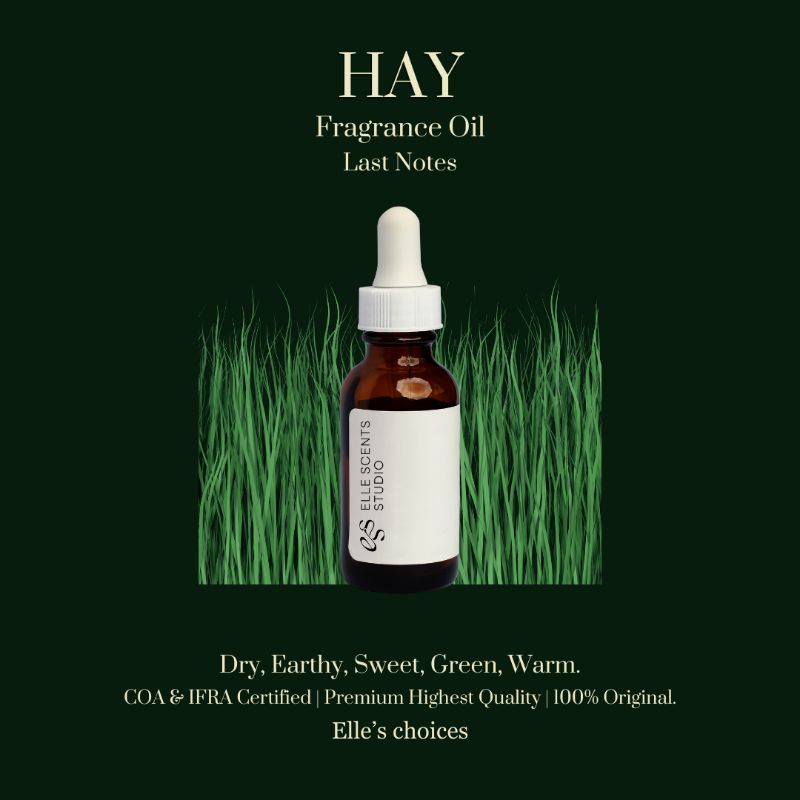Jual HAY Fragrance Oil | Shopee Indonesia