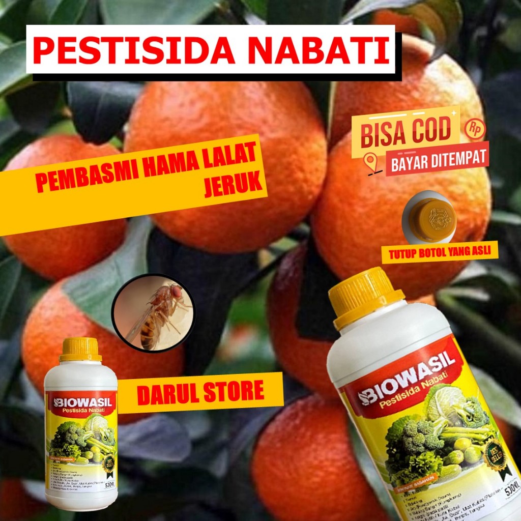 Jual Insektisida Hama Lalat Buah Jeruk limau BIOWASIL Pupuk Pengendali ...