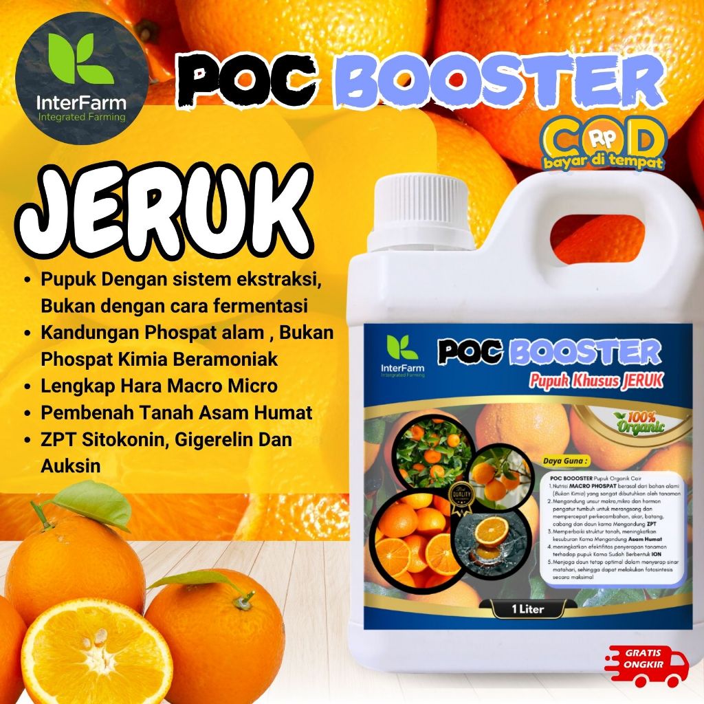Jual Pupuk pelebat buah jeruk ,Pupuk untuk tanaman jeruk, Pupuk cair ...