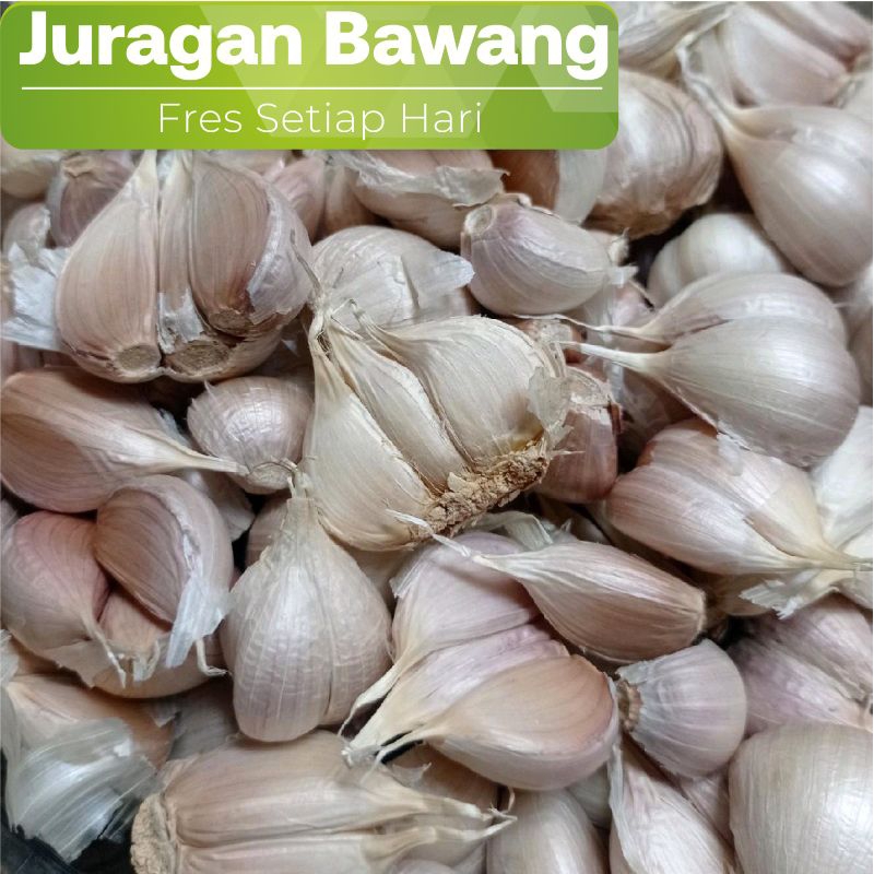 Jual Bawang Putih Kating 500g | Shopee Indonesia