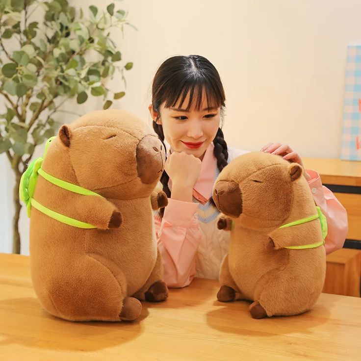 Jual [NEW SERIES] Capybarra Plush Doll Kawaii Capybara Stuffed Animals ...