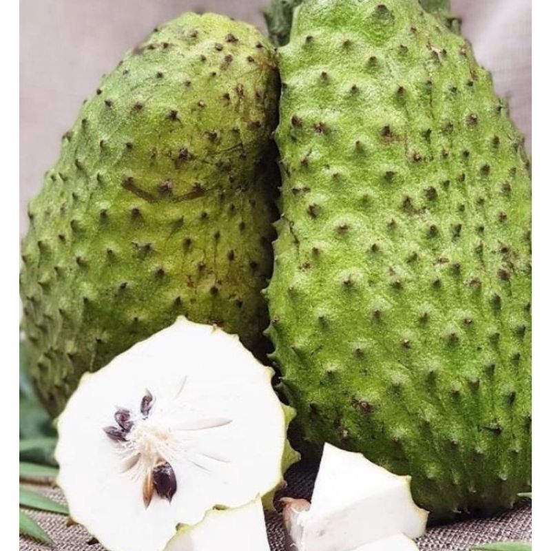 Jual sirsak premium grade A 1kg | Shopee Indonesia