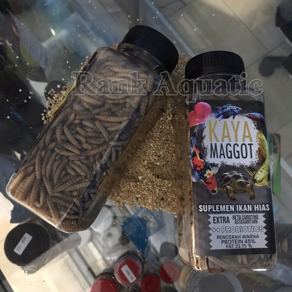 Jual kaya maggot ulat kering extra astaxanthin pakan makanan ikan hias ...