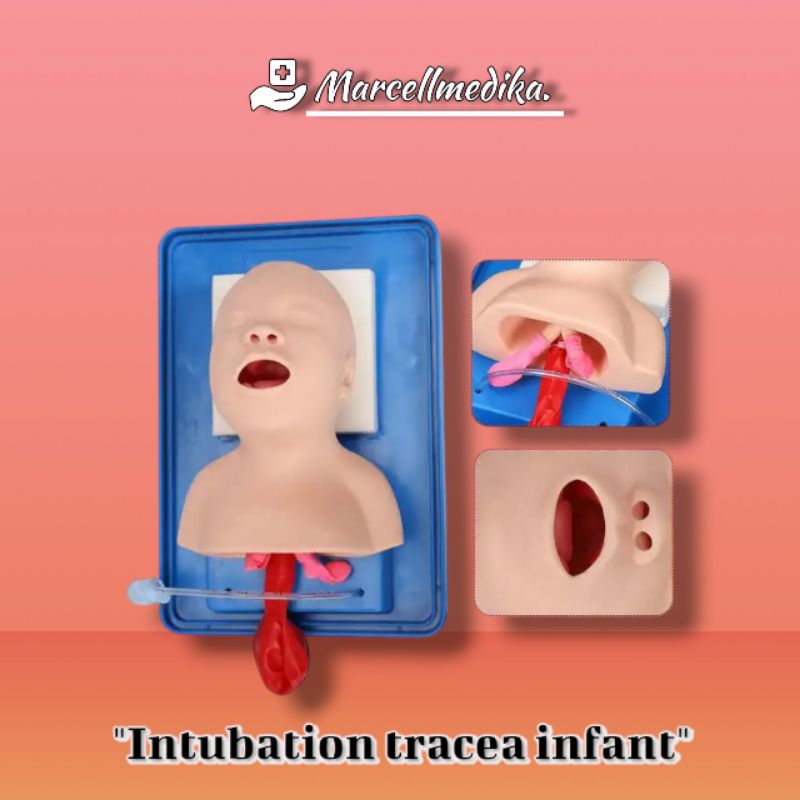 Jual PHANTOM MANEKIN NEONATAL TRACHEAL INTUBATION MODEL J15 / MANIKIN ...