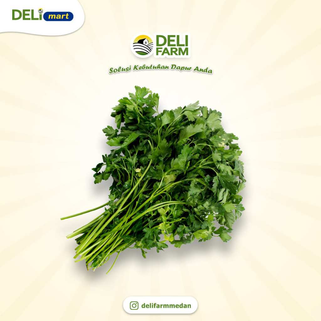 Jual Deli Mart [Khusus INSTAN Medan ] Seledri / Daun Sop by Deli Farm ...