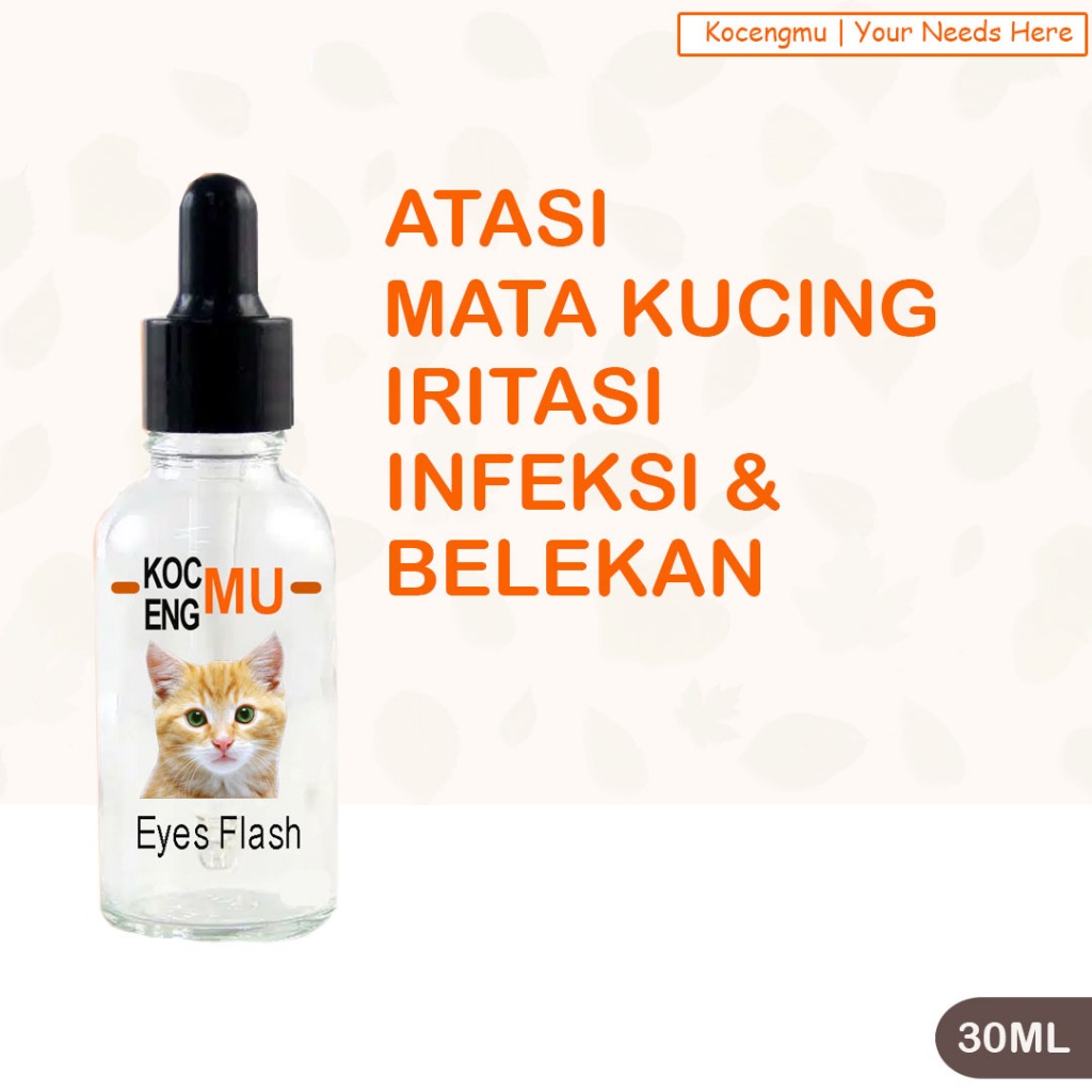 Jual Obat Mata Kucing Obat Tetes Mata Kucing Obat Sakit Mata Kocengmu ...