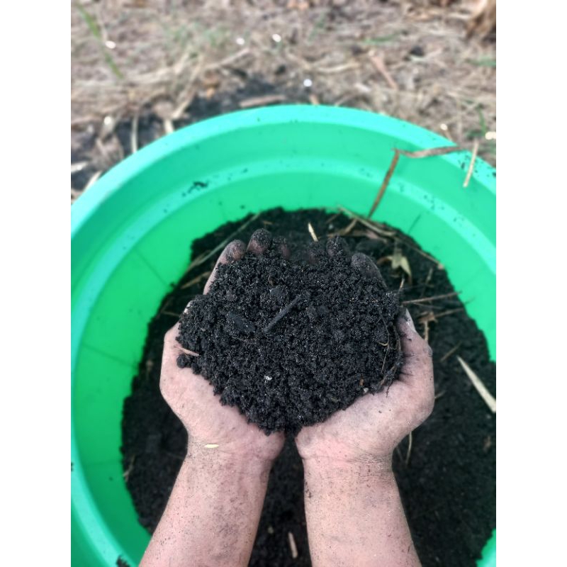 Jual MEDIA TANAM HUMUS TANAH BAMBU 100% ASLI // HUMUS TANAH BAMBU 1KG ...