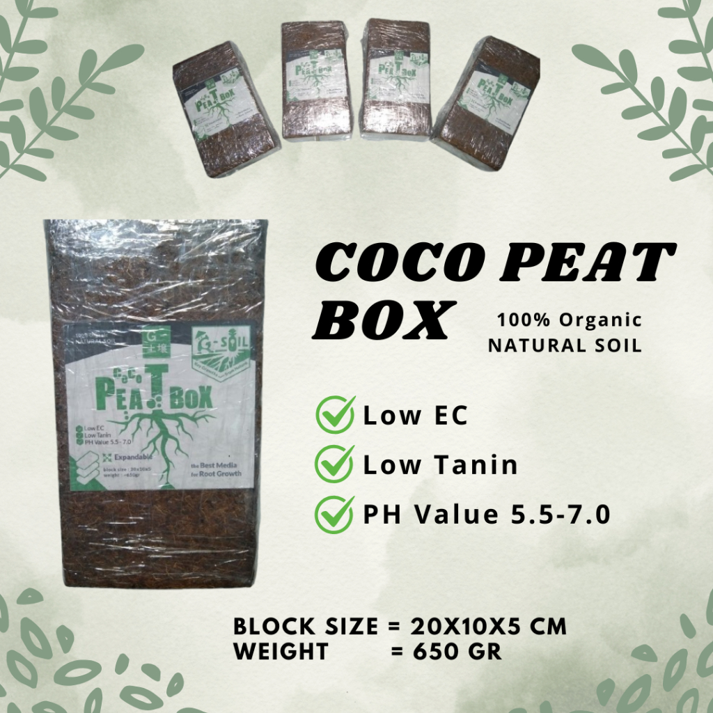 Jual COCO PEAT BOX Natural Soil Expandable, Best Media For Root Growth ...