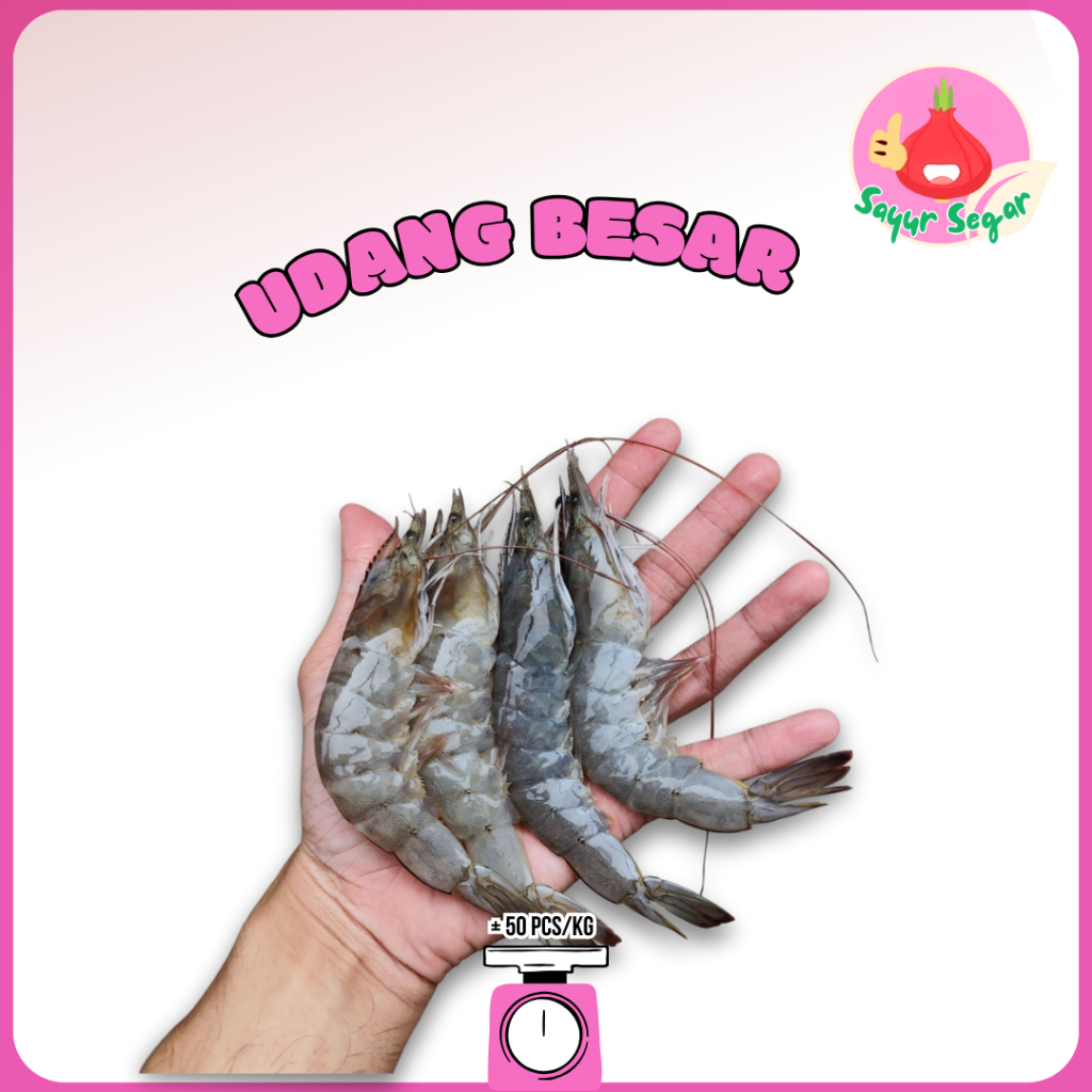 Jual Sayur Segar - Udang Super Besar Segar / Fresh Big Shrimp | Shopee ...