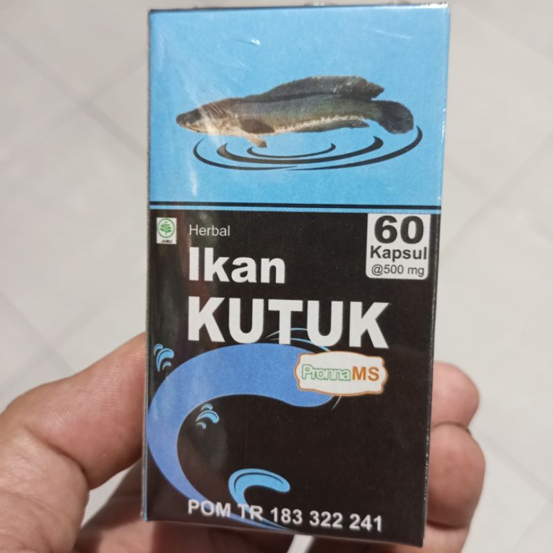 Jual Kapsul ikan kutuk atau ikan gabus mempercepat penyembuhan dan pemulihan luka kecelakaan ...