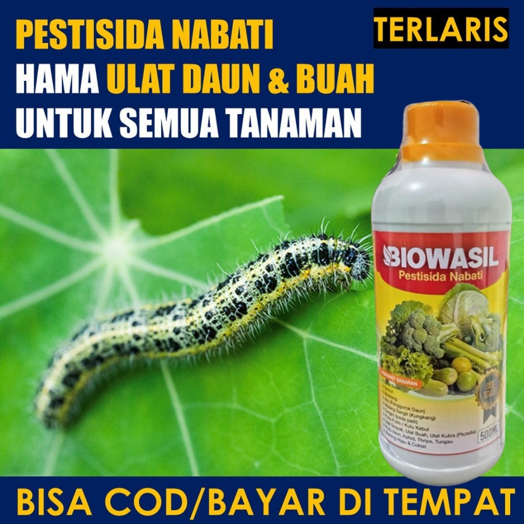 Jual 500 ML Obat Semprot Hama Ulat Buah Daun, Insektisida Ulat Buah dan ...