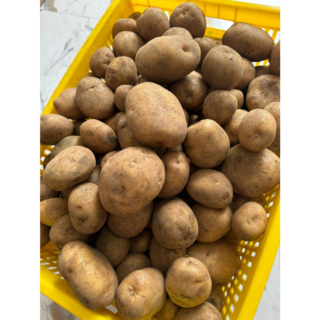 Jual Kentang Dieng Super Kentang Kuning Jumbo 500gr | Shopee Indonesia