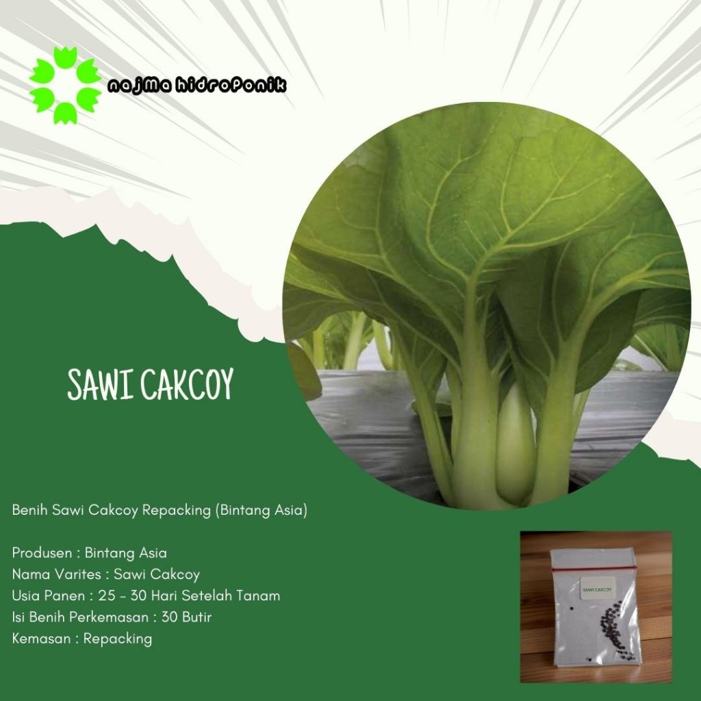 Jual 30 Butir BenihSawi Cakcoy Repacking (Bintang Asia) | Shopee Indonesia