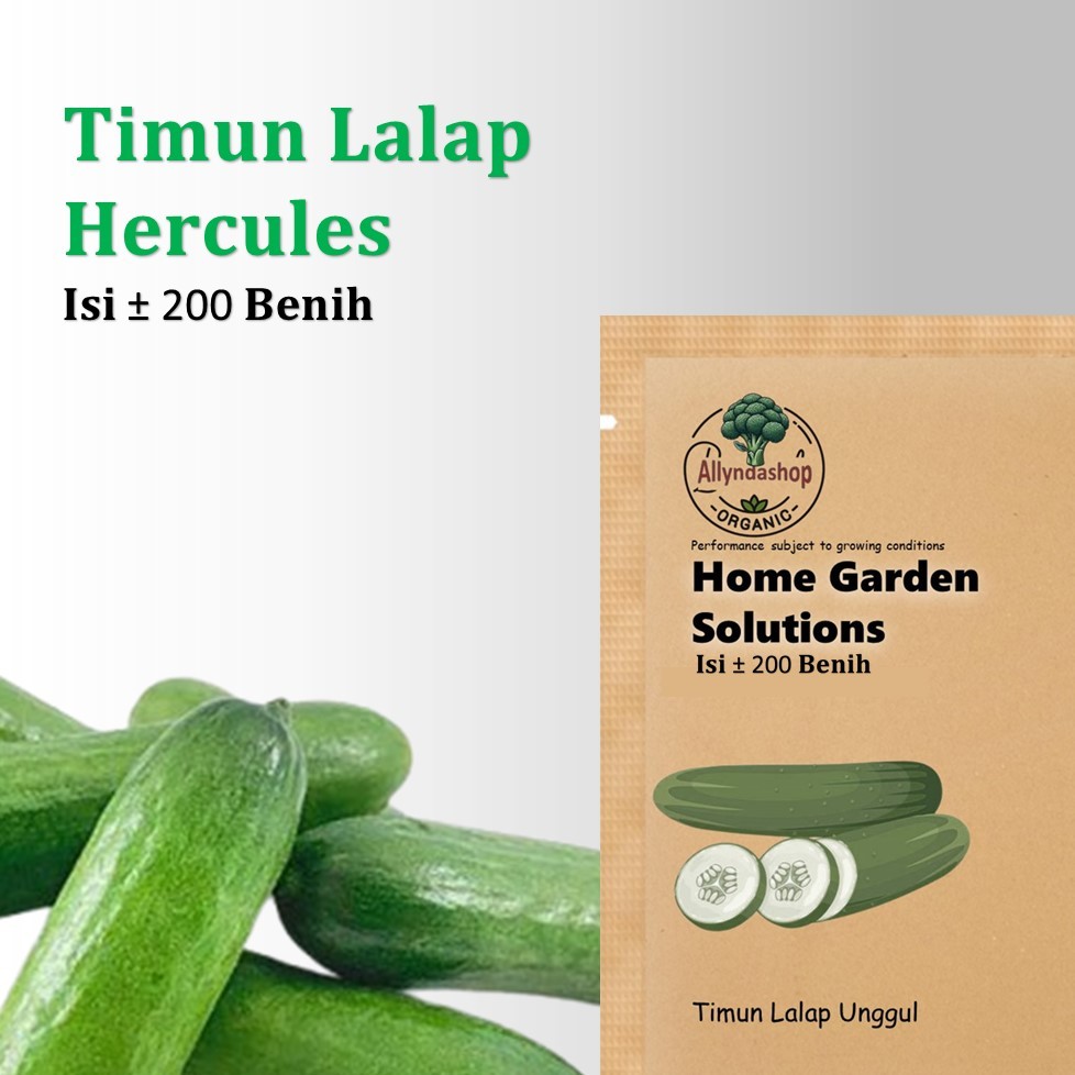 Jual 200 Biji - Benih Timun Lalap Hercules Plus Unggul | Shopee Indonesia
