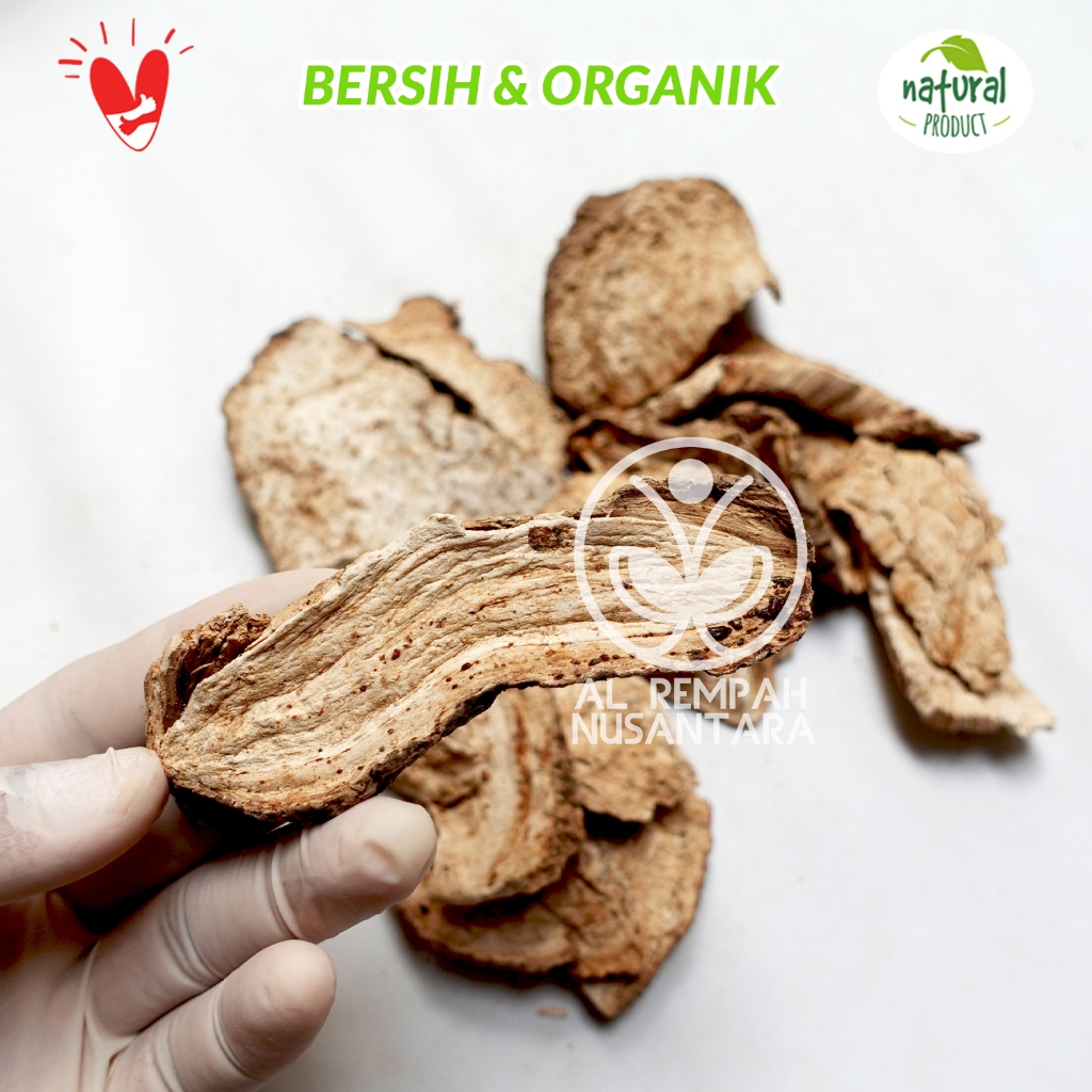Jual Bidara Upas Kering 1kg Umbi Bersih | Shopee Indonesia