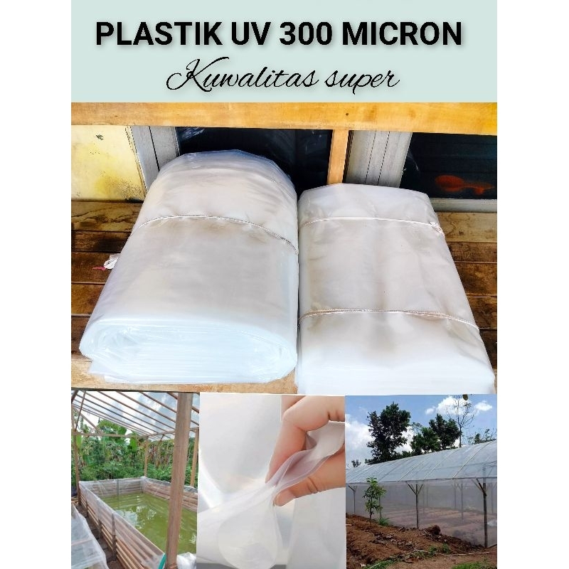 Jual Plastik UV 300 micron ukuran 7x8 meter tanpa sambungan kuwalitas Super | Shopee Indonesia