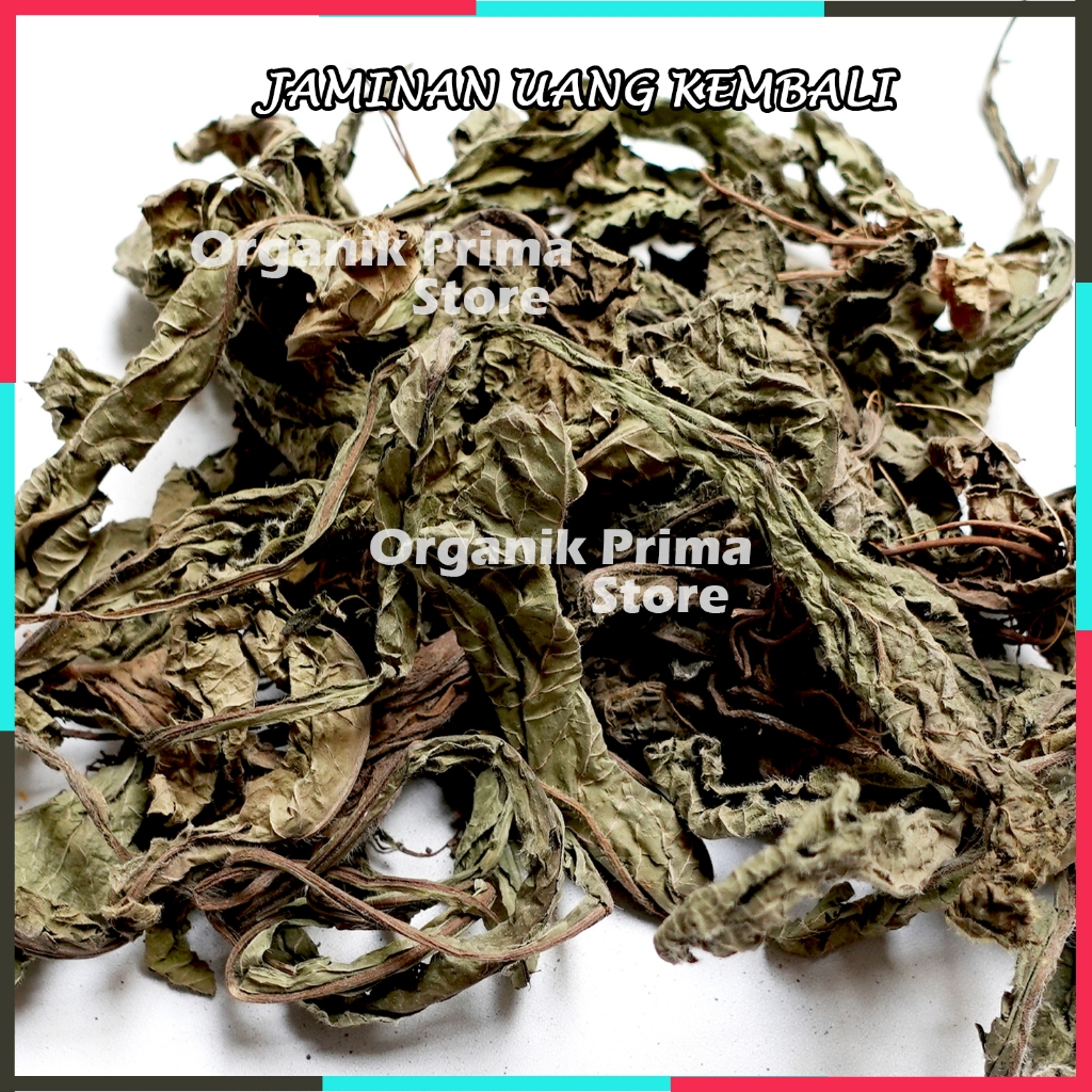 Jual Daun Tapak Liman Kering 500gr - Organik Grade A | Shopee Indonesia