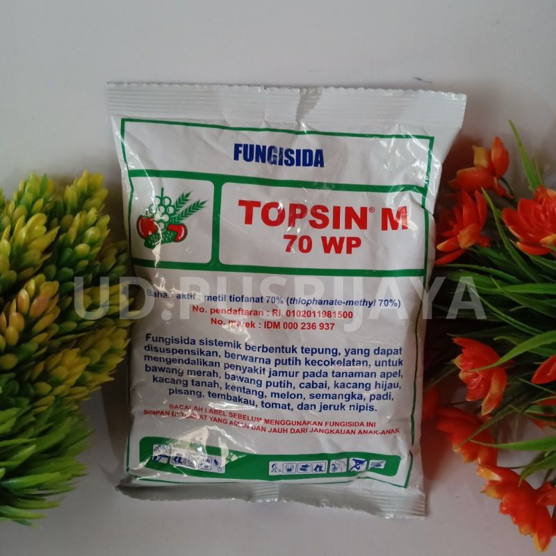 Jual FUNGISIDA TOPSIN M 70 WP kemasan 100 gram | Shopee Indonesia