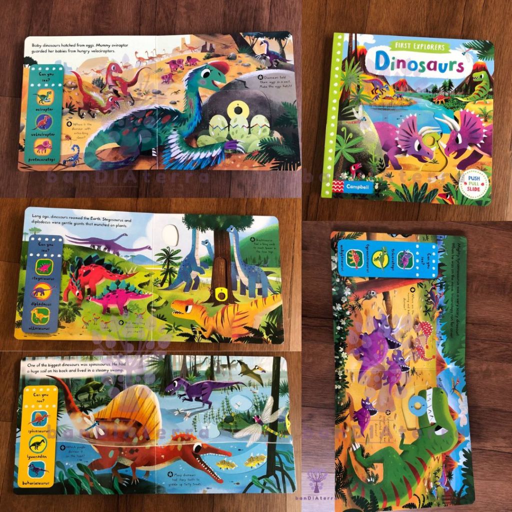 Jual Bandiaterra Campbell Push Pull Slide Busy Book/ Buku Edukasi ...