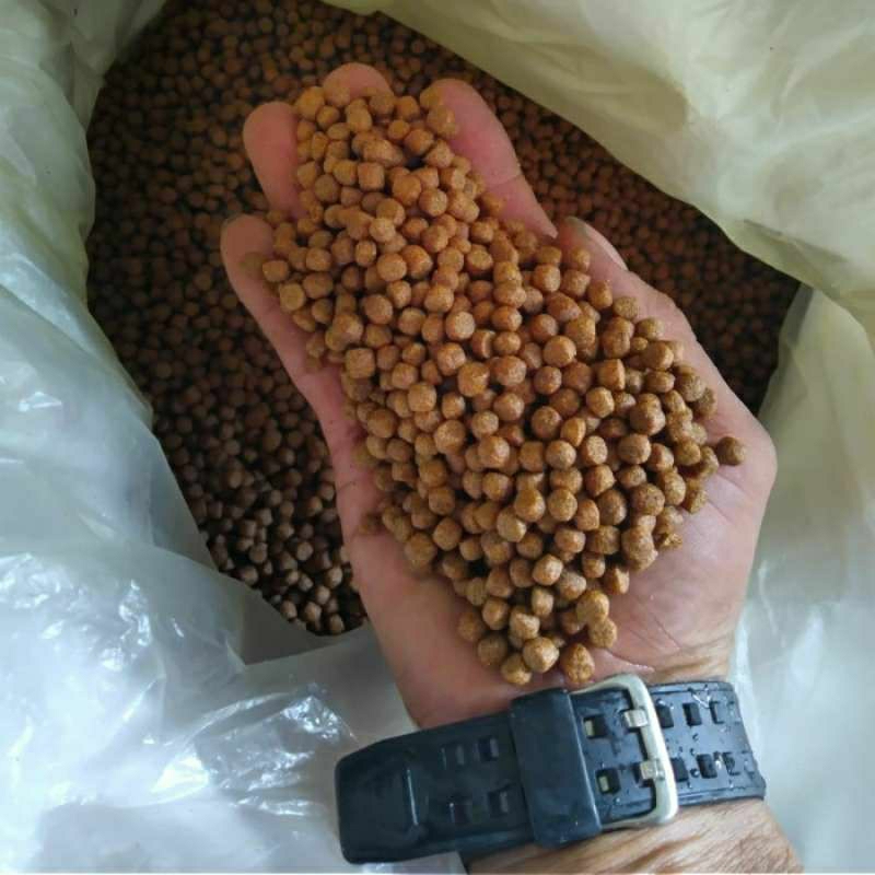 Jual HI PRO VITE Pakan Ikan Lele 782 (-4) Pur Lele 782 MASA AKHIR ...