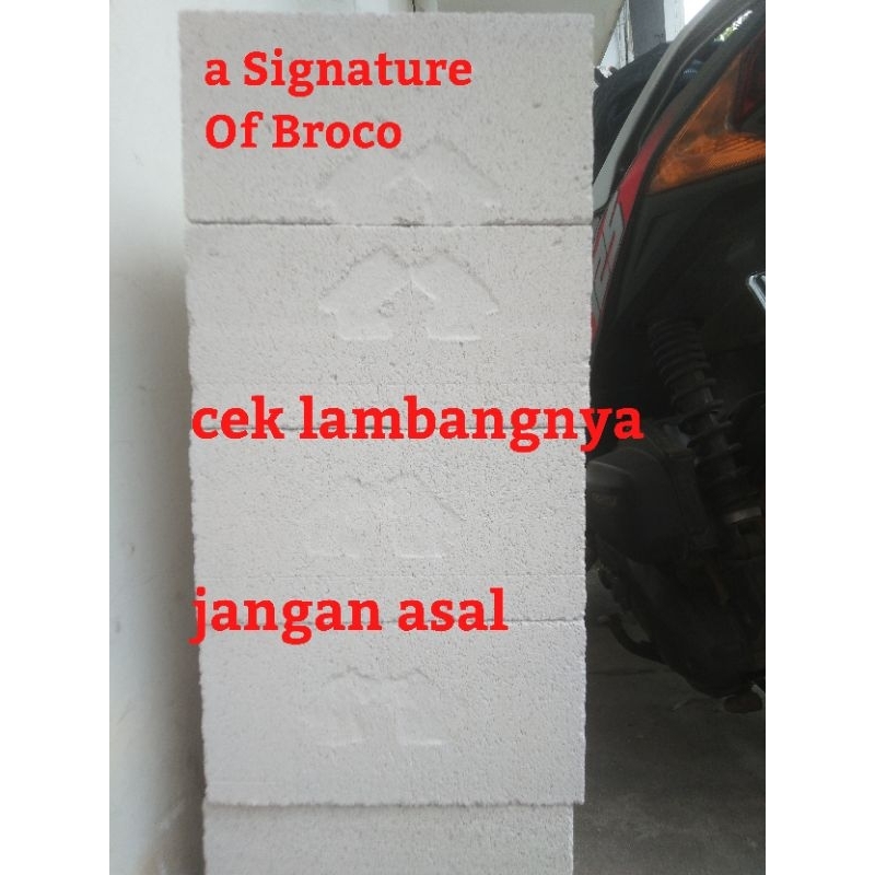 Jual 12,6 Kubik Bata ringan/hebel Broco LeichtBric , Standard International, Greenlabel ...