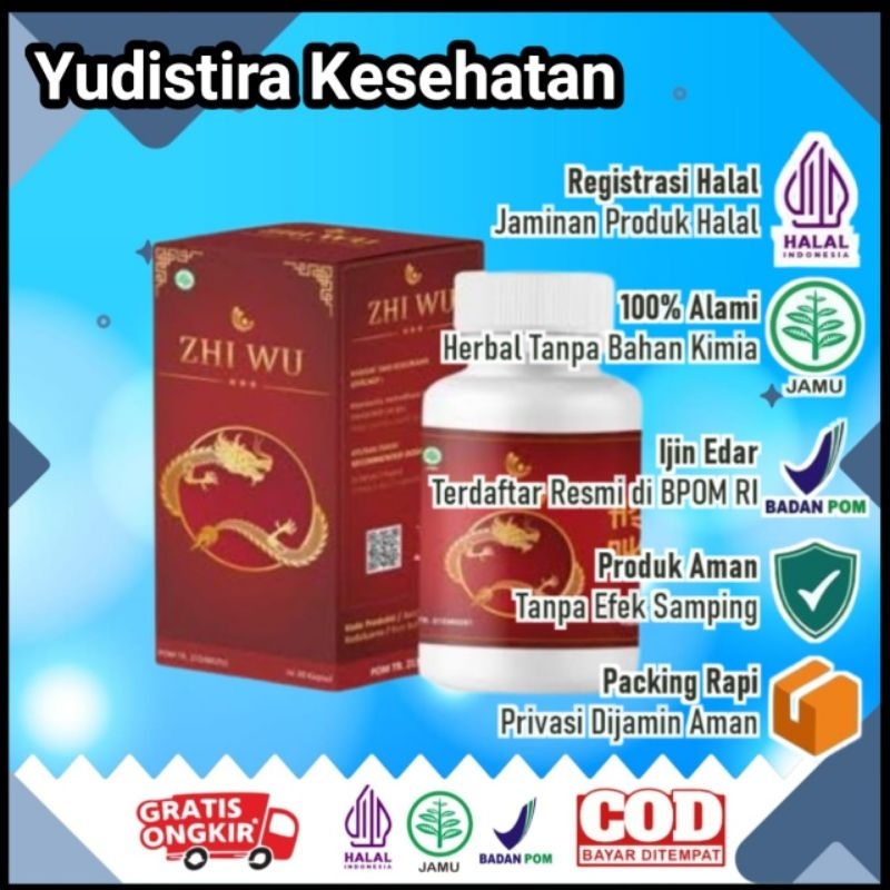 Jual Zhi Wu Asli Original Obat Asam Urat Rematik Anti Sendi Nyeri Otot ...