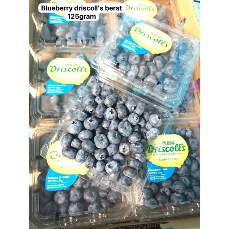 Jual blueberry driscoll's australia berat 125 grm/pac | Shopee Indonesia
