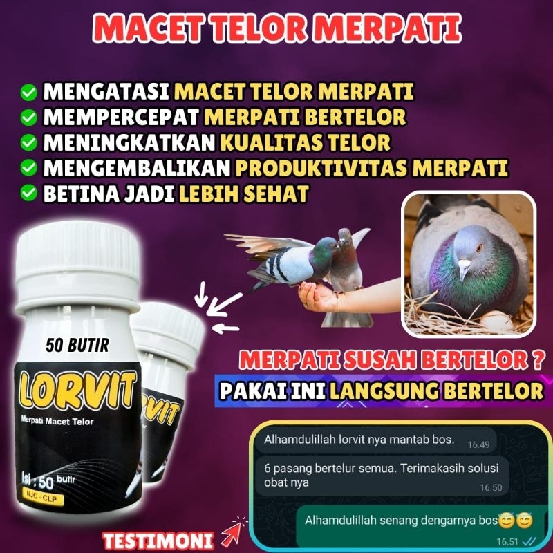 Jual LORVIT Jamu Merpati untuk Mengatasi Macet Telor | Shopee Indonesia