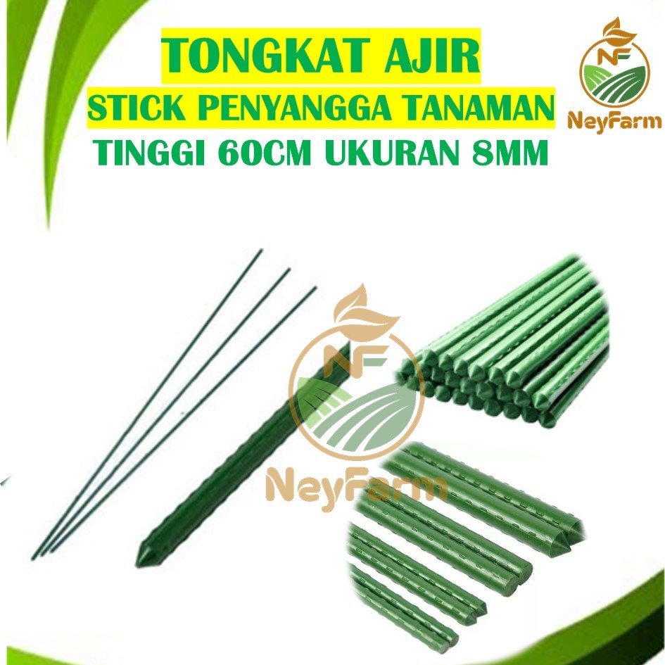 Jual TONGKAT AJIR Penyangga Tanaman MODERN TAKIRON 60cm - 8mm | Shopee ...
